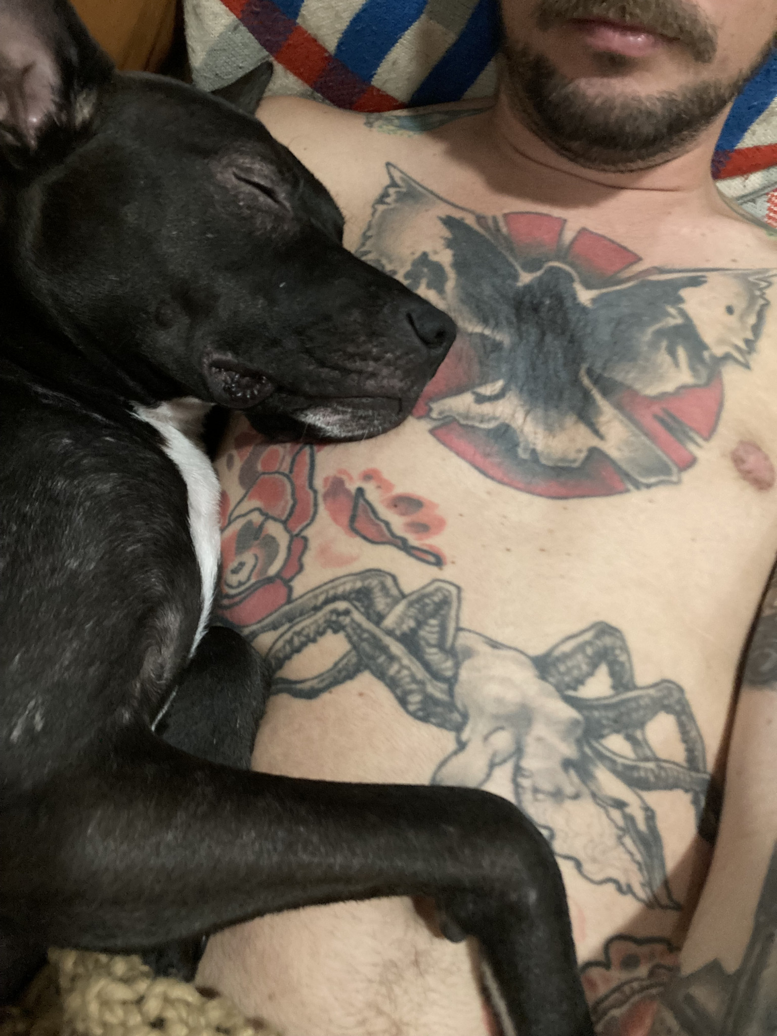 anthony lyons | Inked Originals