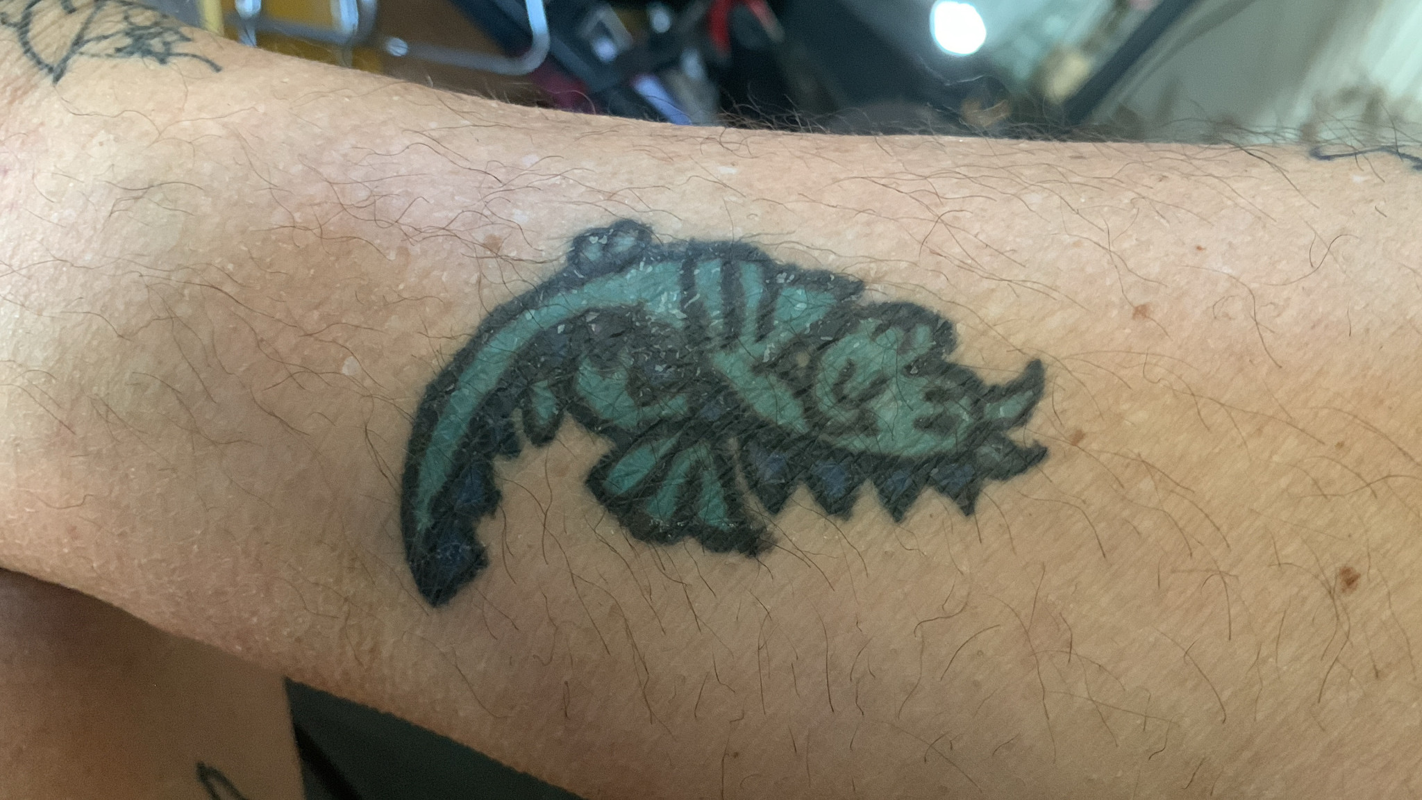 Kathy Kempton | Inked Originals